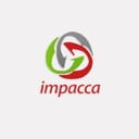 Audit Assistant Job at Impacca Management Consultancy Private Limited ...